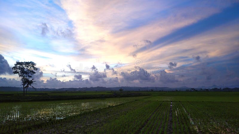 Yangyakarta Stock Photos - Free & Royalty-Free Stock Photos from Dreamstime