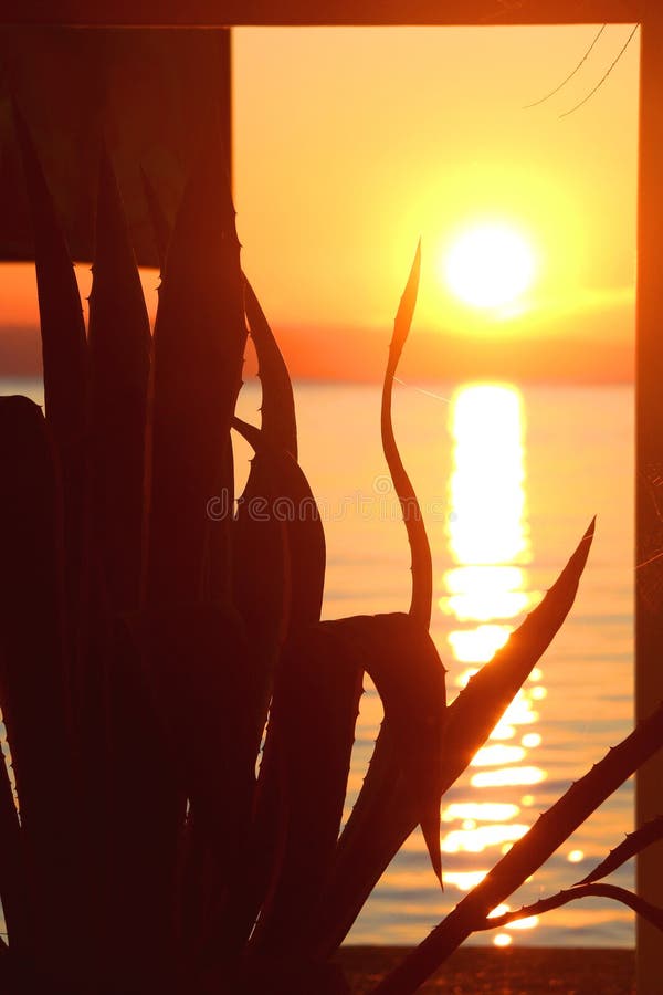 Sunset in Split, Croatia stock photo. Image of sunlight - 383859826