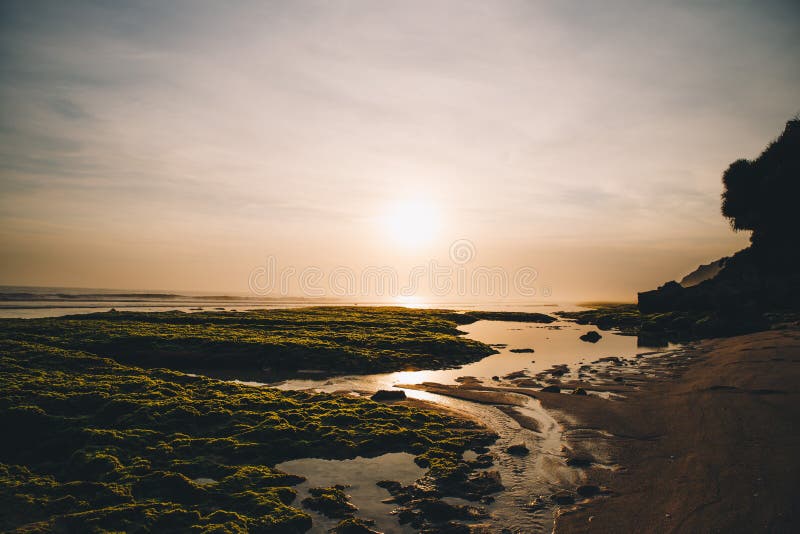 Beautiful Sunset in Bali Beach Stock Image - Image of agriculture, bali ...