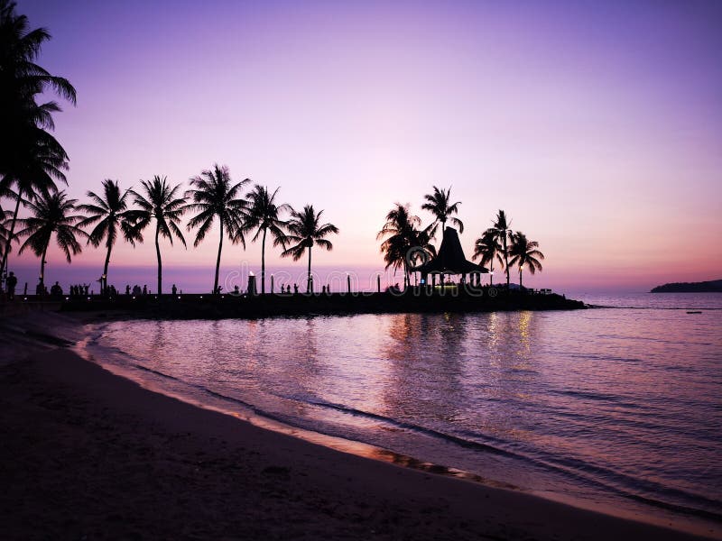 Beautiful Sunset Surrounding with Coconut Trees on the Shore. Stock ...