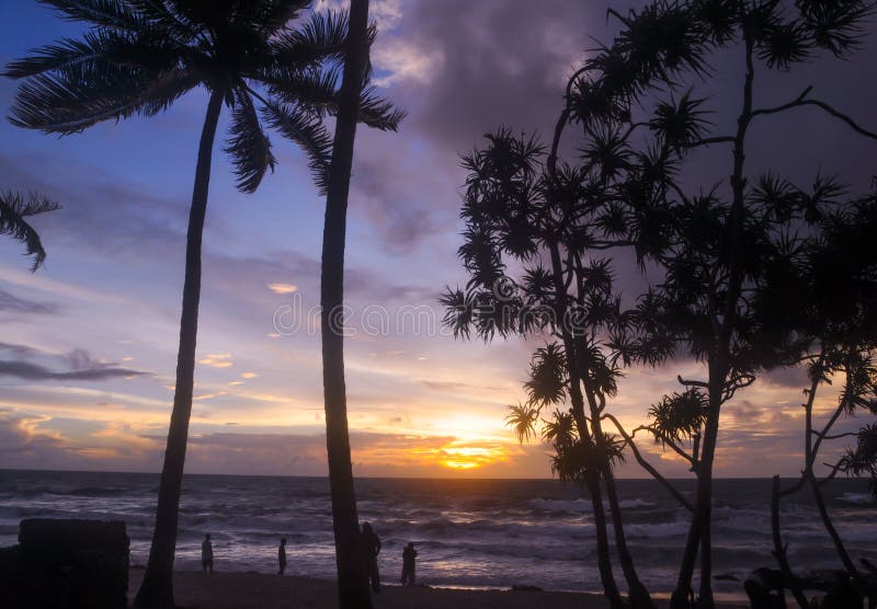 Beautiful Sunset at the Beach with Shade of Trees Stock Image - Image ...