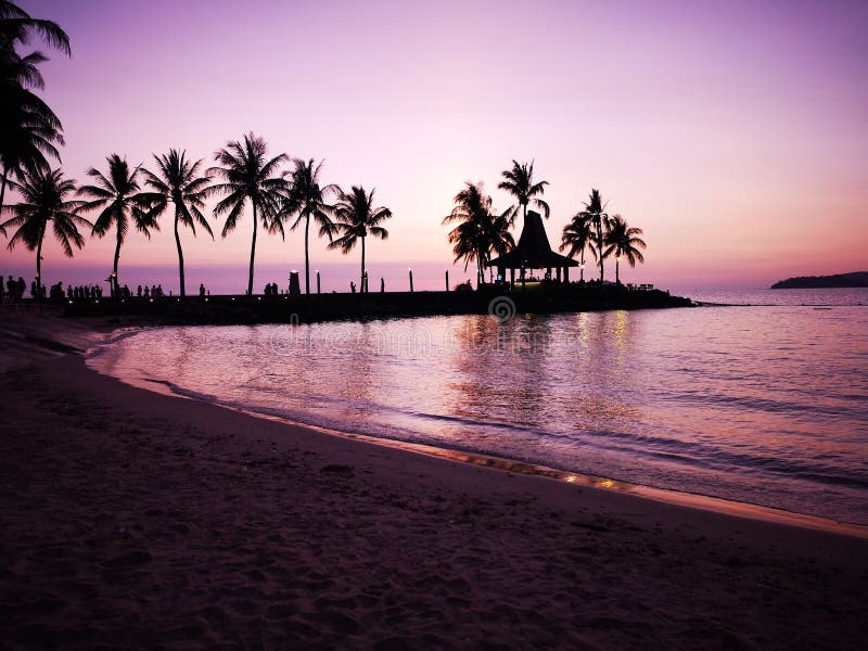 Beautiful Sunset Surrounding with Coconut Trees on the Shore. Stock ...