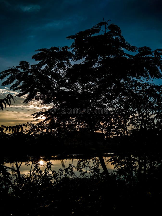 The Beautiful Sunset Behind the Small Tree with Reflection in Pond ...