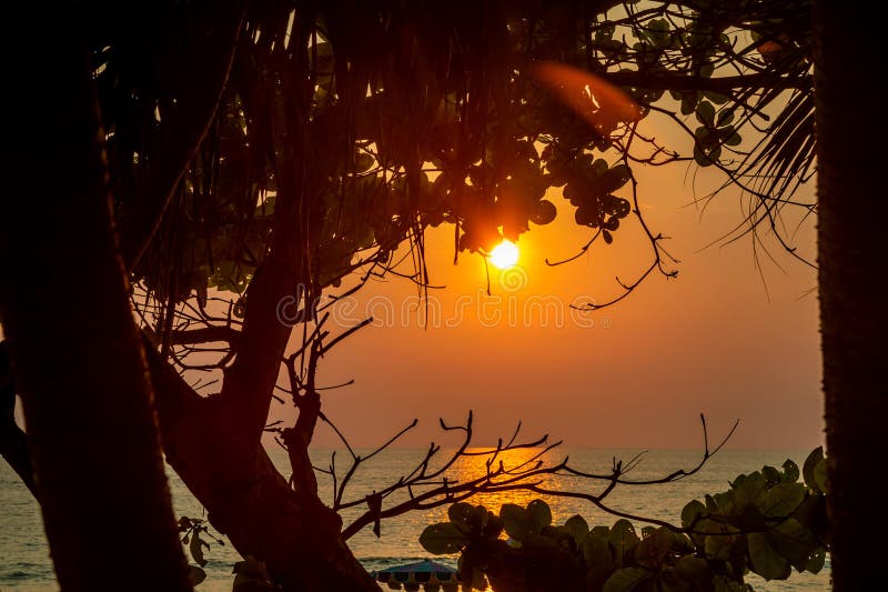 Sky tree in the shadows stock photo. Image of inspirational - 150520428
