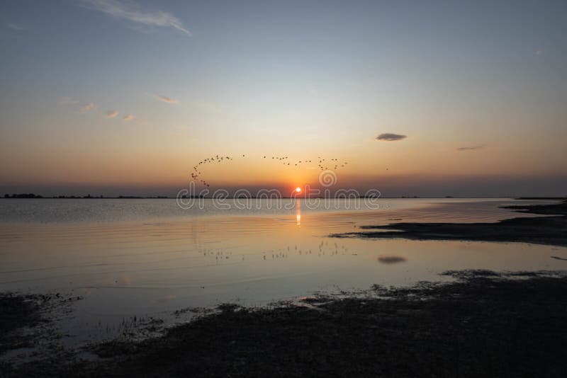 Beautiful Sunset in a Calm Lagoon with Birds Flying Stock Photo - Image ...