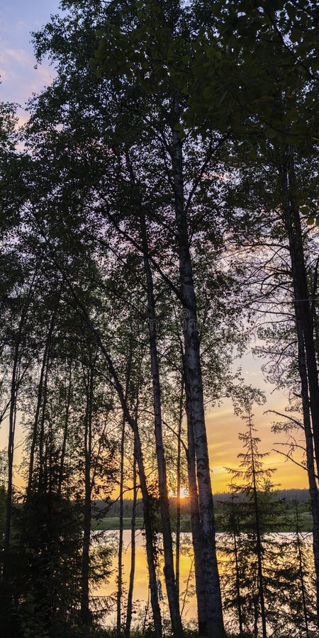 Beautiful Sunset on a Calm Lake Surrounded by Forest in the Taiga ...