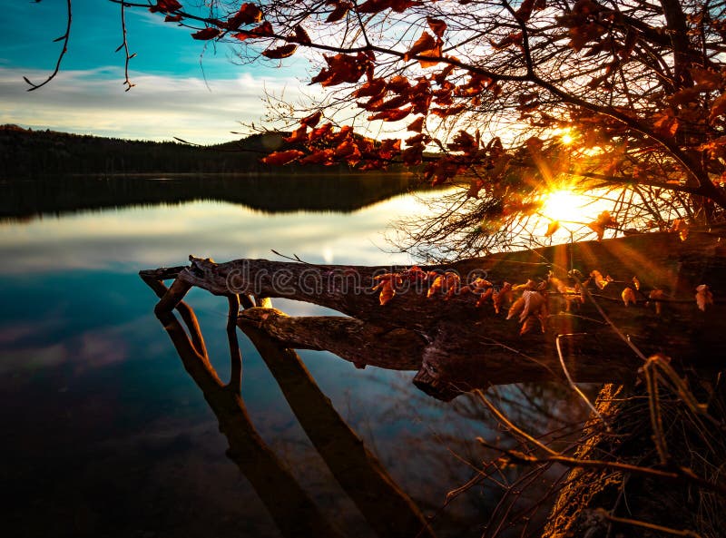 A Beautiful Sunset at a Calm and Peaceful Lake - a Tree Trunk in the ...