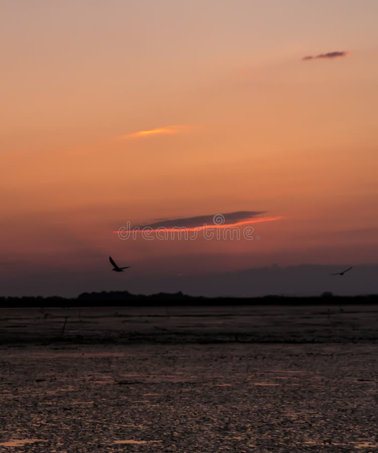 Sunset with Clouds with Silver Lining and Flying Birds Stock Photo ...