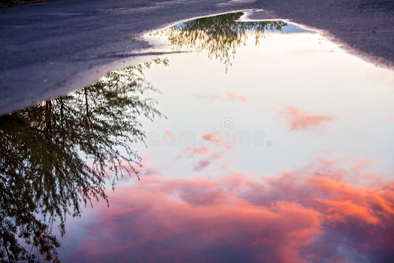 Beautiful Sunset Clouds and Tree, Reflecting in Water Puddle Stock ...