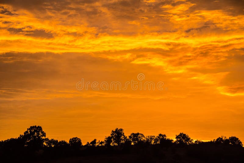 Beautiful Sunset in the Cloudy Red Sky Stock Photo - Image of selective ...