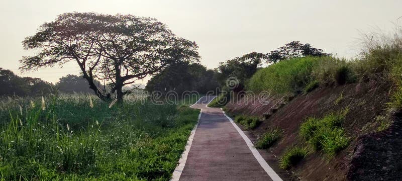 Beautiful Sunset and a Country Road with Nice View Stock Photo - Image ...