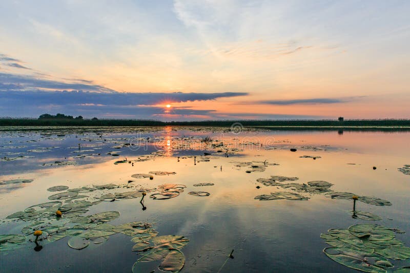 Beautiful Sunset in Danube Delta Stock Image - Image of danube ...