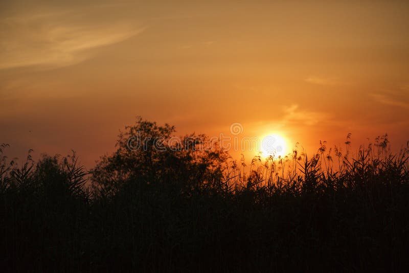 Beautiful Sunset on Danube Delta Stock Photo - Image of natural ...
