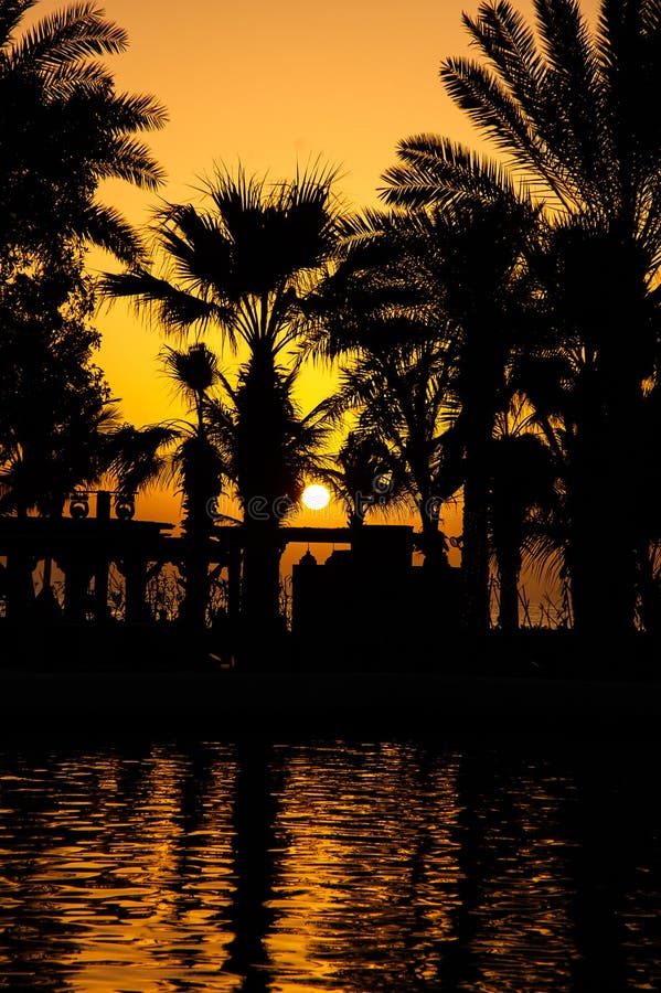 Beautiful Sunset with Dark Silhouettes of Palm Trees Stock Photo ...
