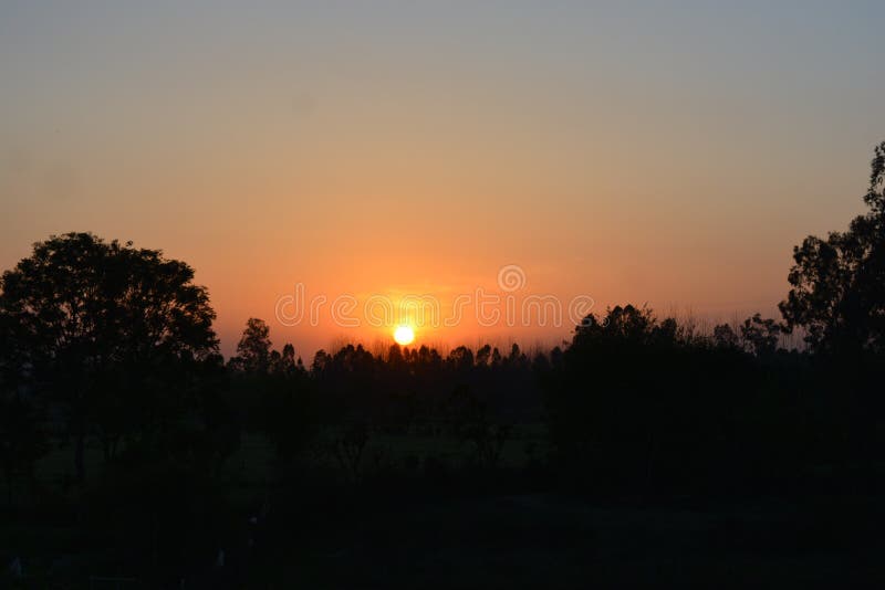 Beautiful Sunset Dark Trees Stock Image - Image of trees, indiatravel ...