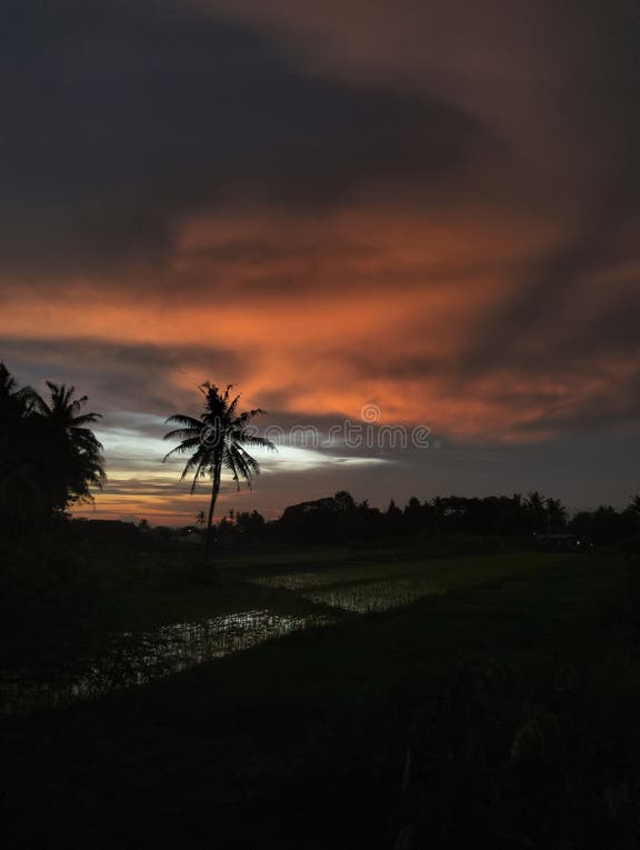 Beautiful sunset stock photo. Image of rice, edge, beautiful - 367717104