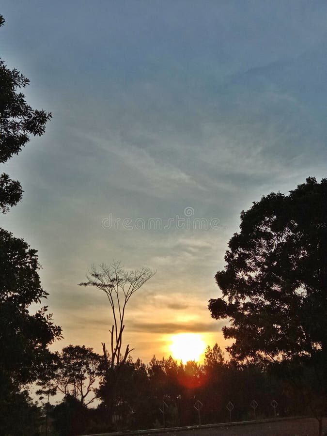 Beautiful Sunset in the End of Year Stock Photo - Image of savanna ...