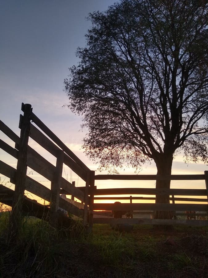 Farm stock image. Image of shadows, farm, trees, sunset - 153383499