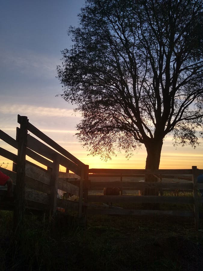 Sunset stock image. Image of sunset, farm, trees, landscape - 153383825