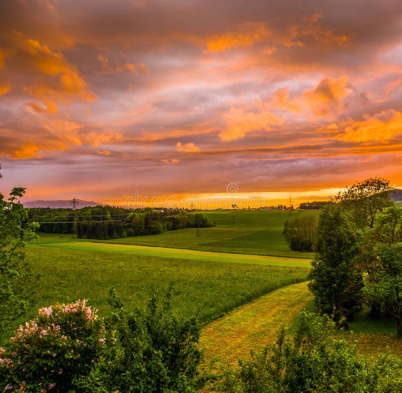 Beautiful Sunset Field Stock Photos - Download 259,264 Royalty Free Photos