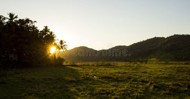 Beautiful Sunset in the Field of Goa, India Stock Image - Image of ...
