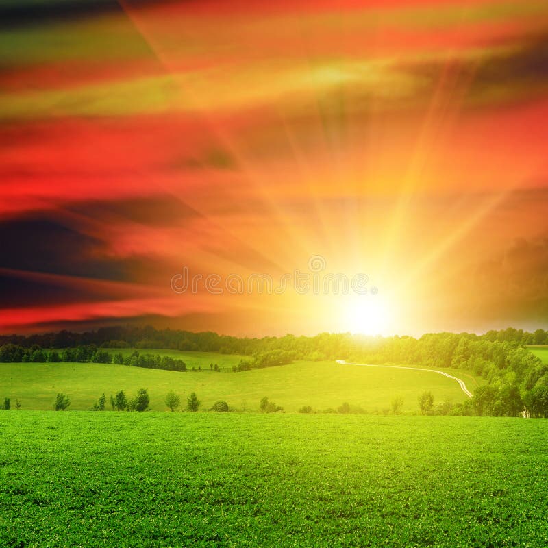 Beautiful sunset on field stock photo. Image of herb - 84606004