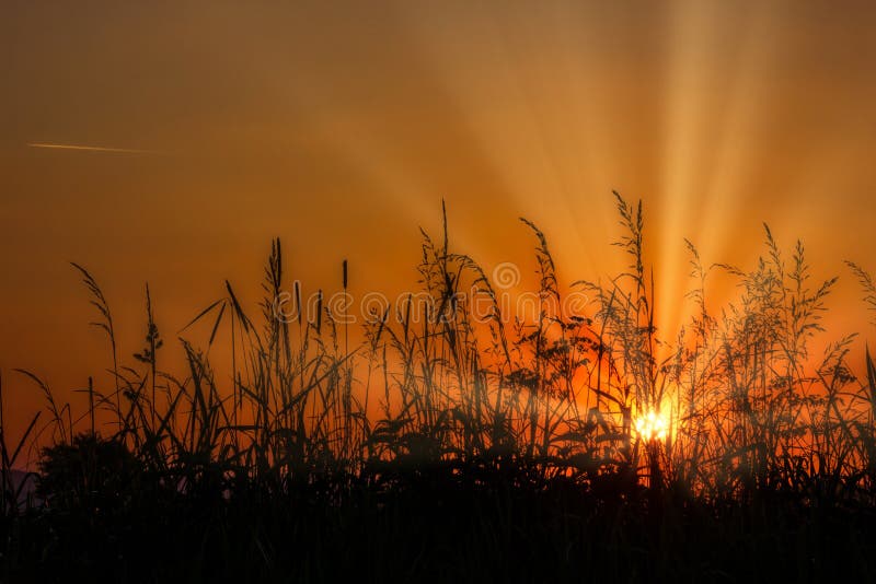 Beautiful Sunset on the Field. Stock Photo - Image of reflection, grass ...
