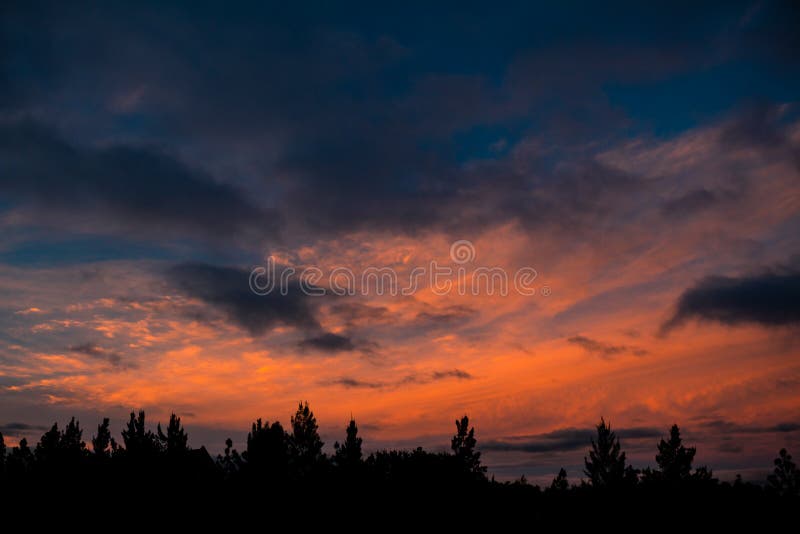 Beautiful Sunset in the Field. Sunlight Turns Everything Orange Stock ...