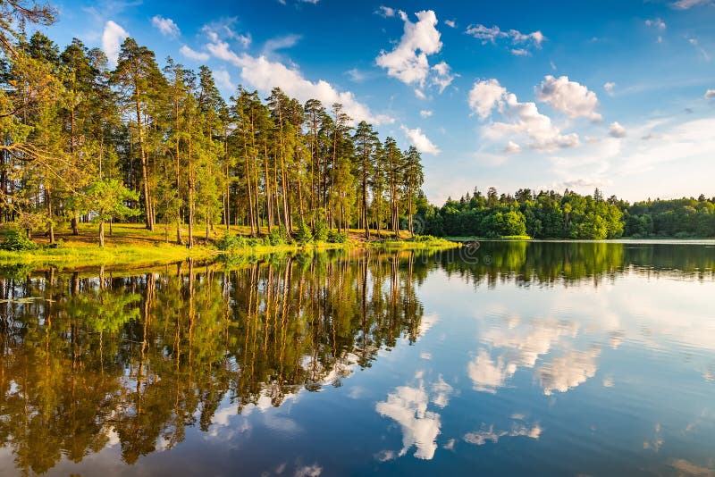 Beautiful Sunset on Forest Lake Stock Image - Image of bank, landscape ...
