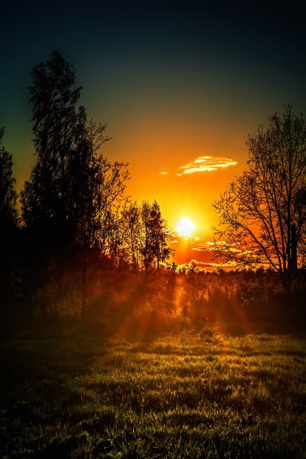 Beautiful Sunset in the Forest Meadow Stock Image - Image of park, dark ...