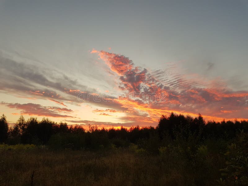 Beautiful Sunset in Forest Wow Stock Photo - Image of forestfoto ...