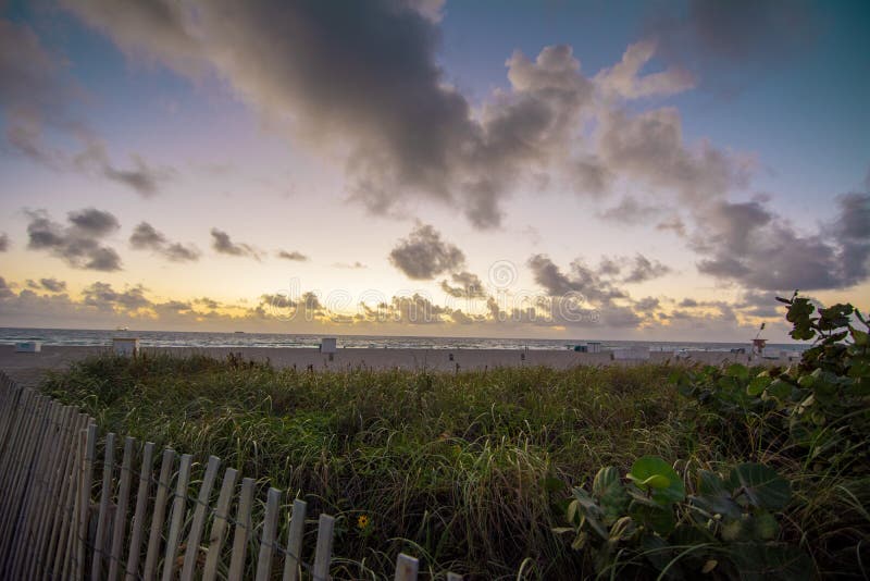 Beautiful Sunset with Grass on Beach Stock Image - Image of cloud ...