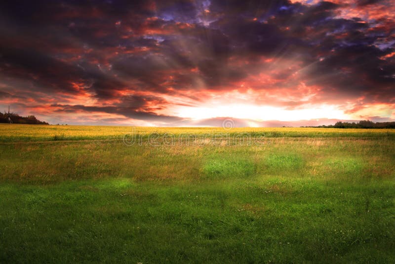 Beautiful Sunset on a Green Lawn Stock Photo - Image of freedom, bright ...