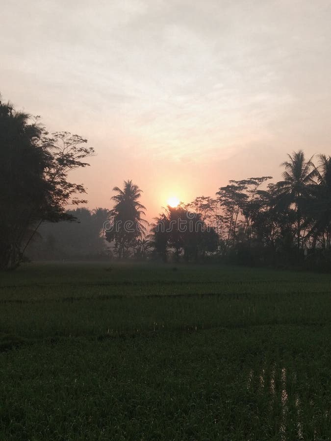 Beautiful Sunset in the Green Village Stock Image - Image of village ...