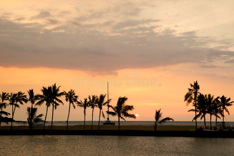 856 Tropical Sunset Framed Trees Stock Photos - Free & Royalty-Free ...