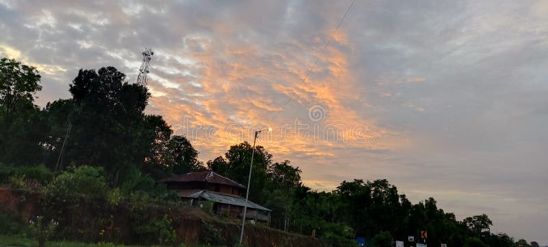 Beautiful sunset is here stock photo. Image of plant - 258425566