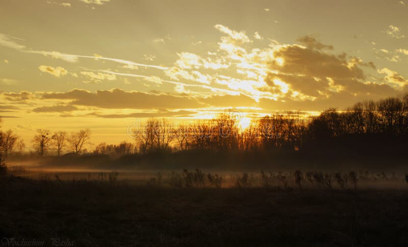 Beautiful sunset stock image. Image of landscape, forest - 83316315