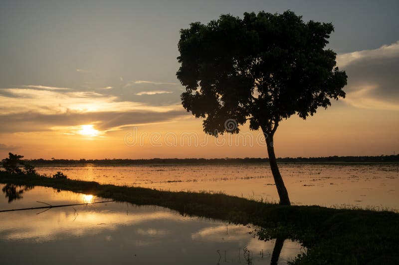 A Beautiful Sunset Illuminating a Lake and Tree Silhouette Stock Photo ...