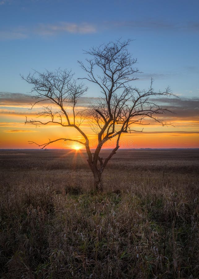 BEAUTIFUL SUNSET PICK at HILL SIDE Stock Photo - Image of side, tree ...