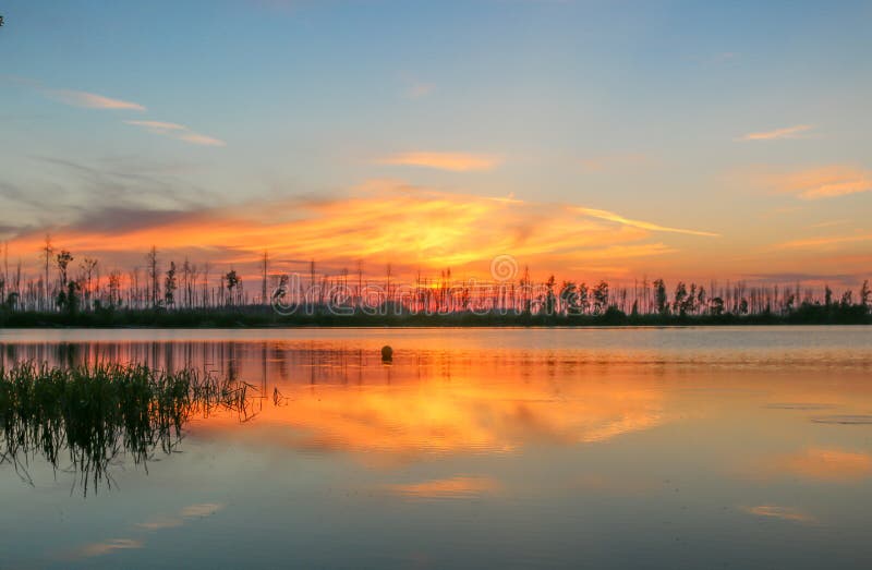 Beautiful Sunset on the Lake Pine Stock Photo - Image of pine, nature ...