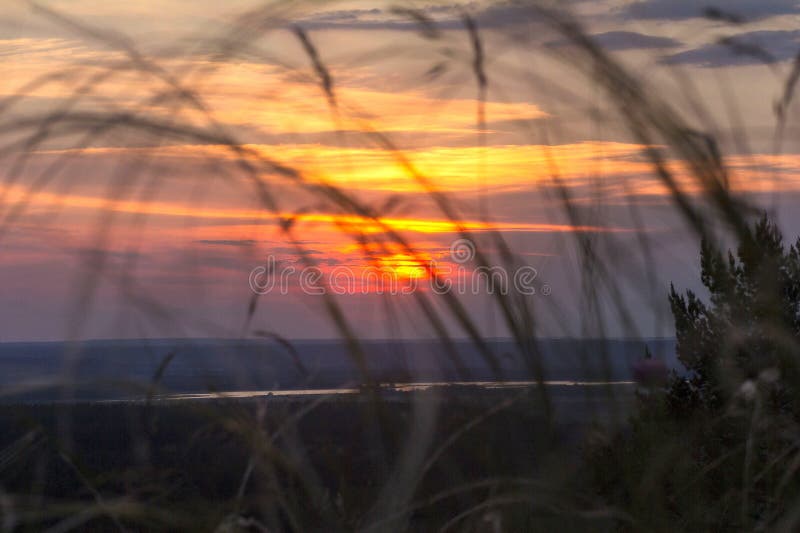Beautiful Sunset Landscape with Feather Grass in the Foreground Stock ...