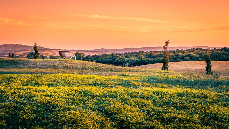 Beautiful sunset landscape stock image. Image of nature - 59272193