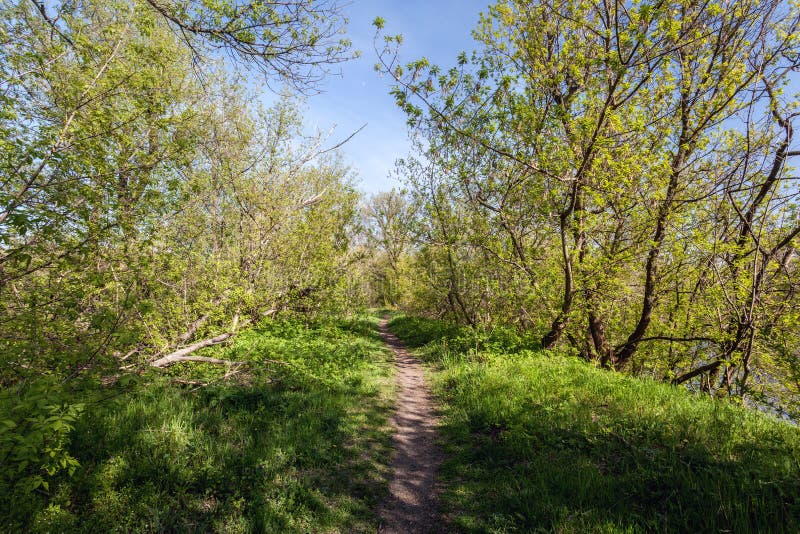 Beautiful Sunset in Magic Forest. Trail. Spring Landscape Stock Image ...