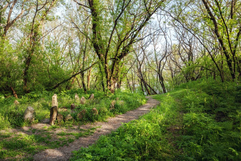 Beautiful Sunset in Magic Forest. Trail. Spring Landscape Stock Image ...