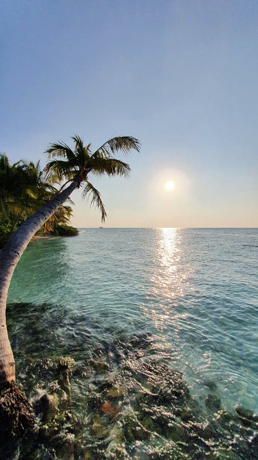 Beautiful Sunset in the Maldives Overlooking the Ocean Stock Image ...