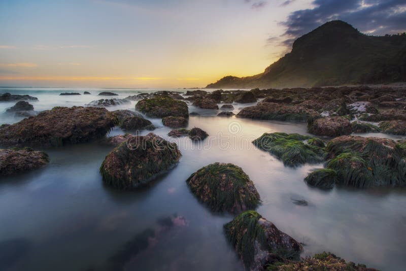 Beautiful Sunset in Misty Beach Stock Photo - Image of time, lonelytree ...
