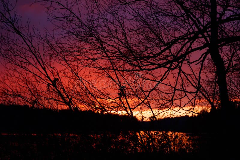 Beautiful Sunset in November on the Lake, Finland Stock Image - Image ...
