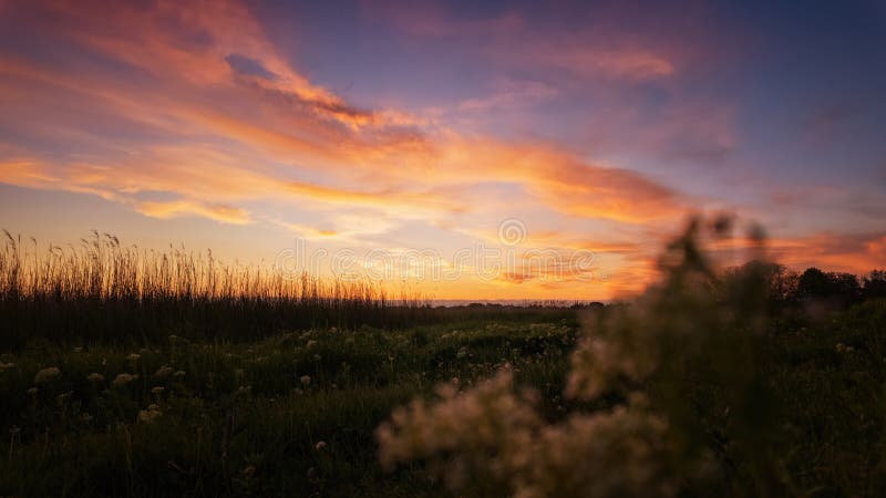 Beautiful Sunset Over the Field Stock Photo - Image of farm, season ...