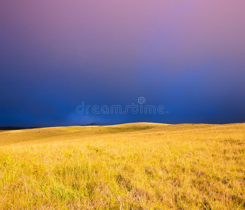 Beautiful Sunset Over Golden Field Stock Image - Image of golden, cloud ...