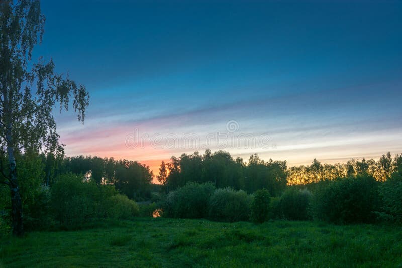 Beautiful Sunset Over Green Forest. Stock Photo - Image of color, tree ...